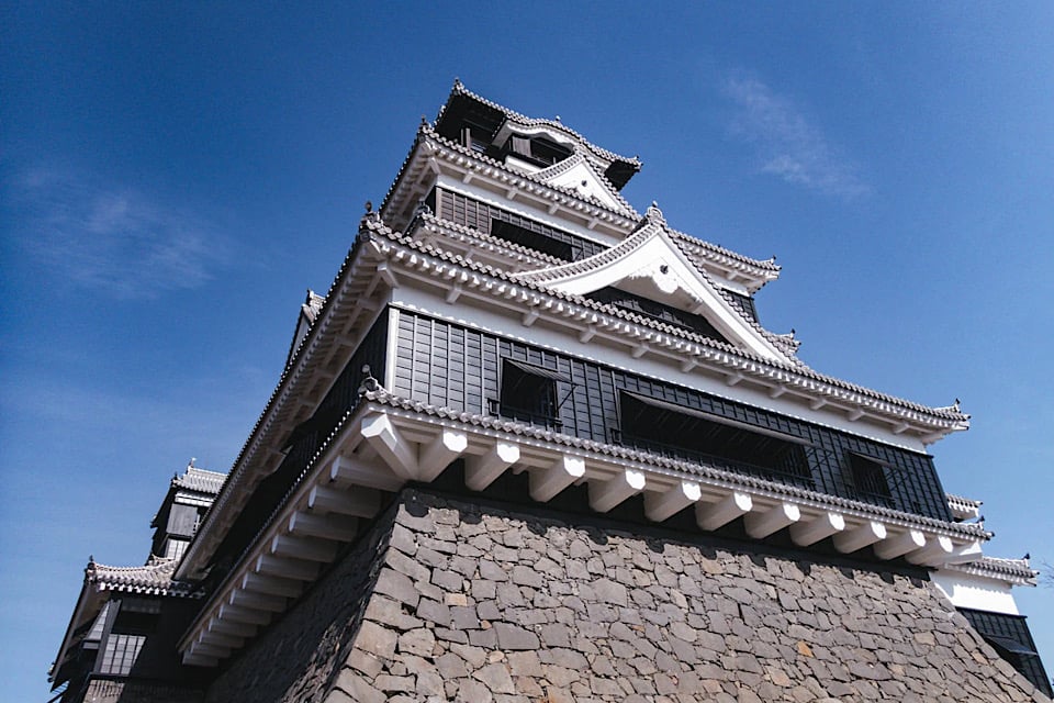 Weren’t They Built for Battle? A Deep Dive into the Differences Between ...